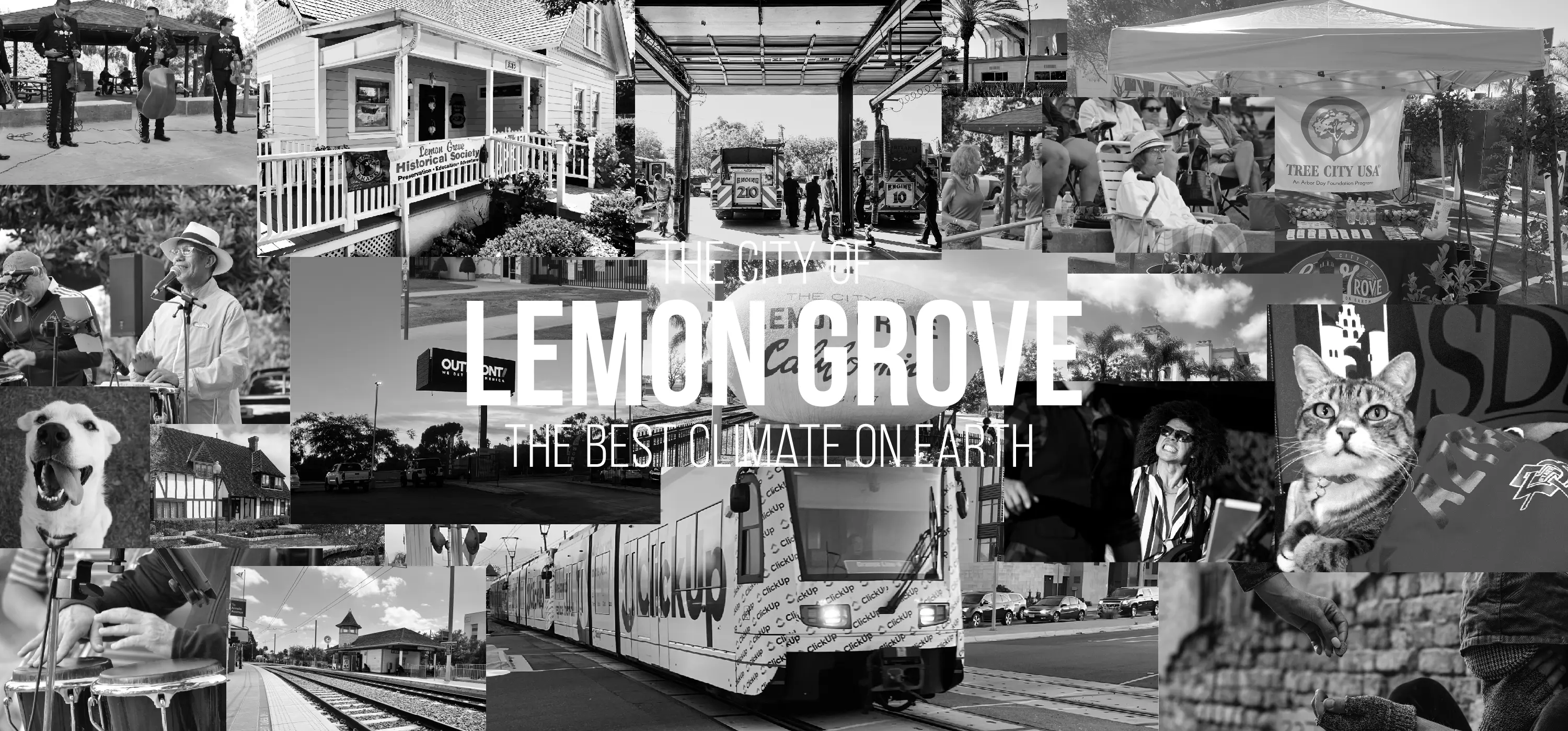 Home | Lemon Grove